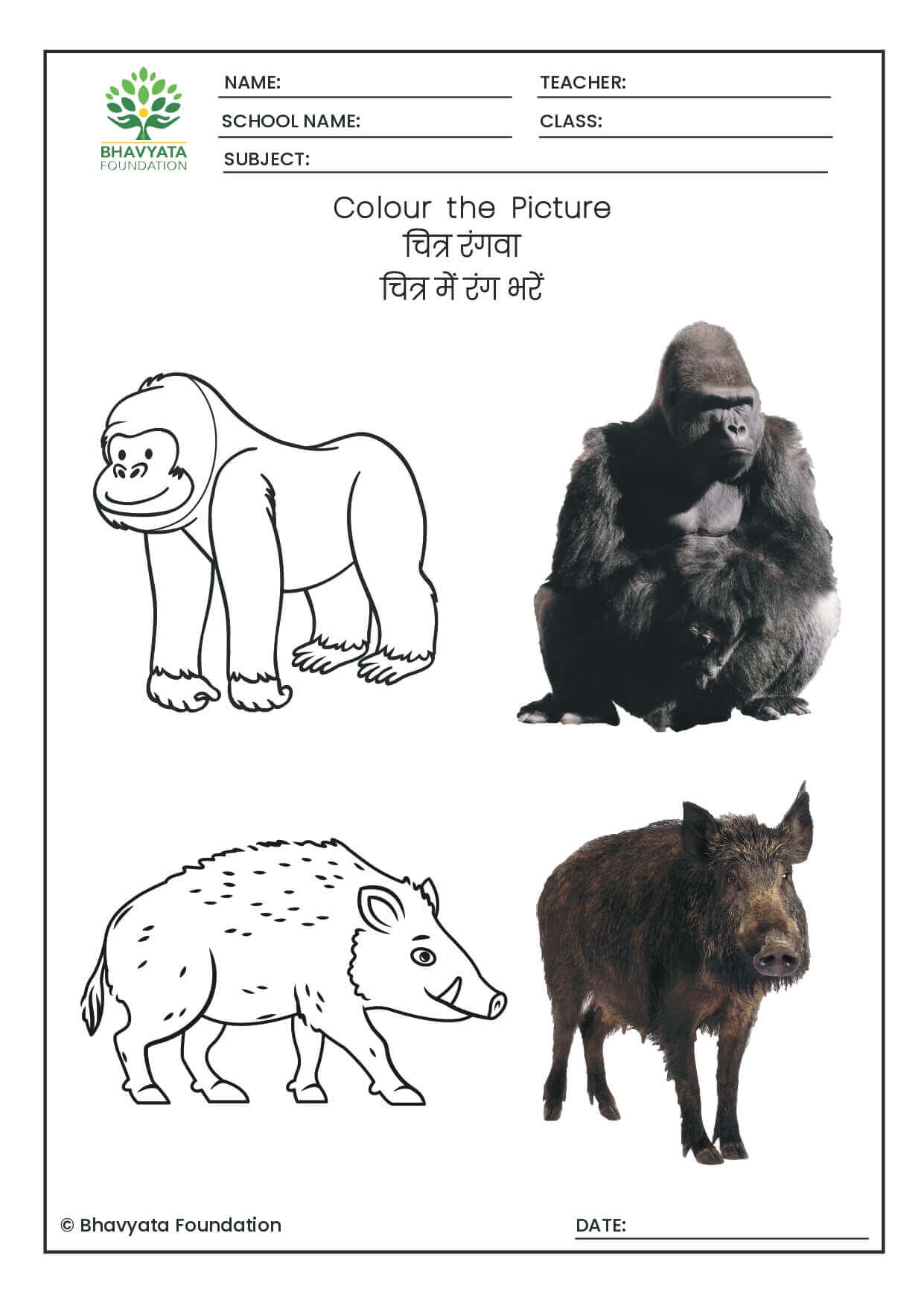 A1M2W3D4-Fine Motor Skill (Animal Color Worksheet) – Bhavyata Foundation
