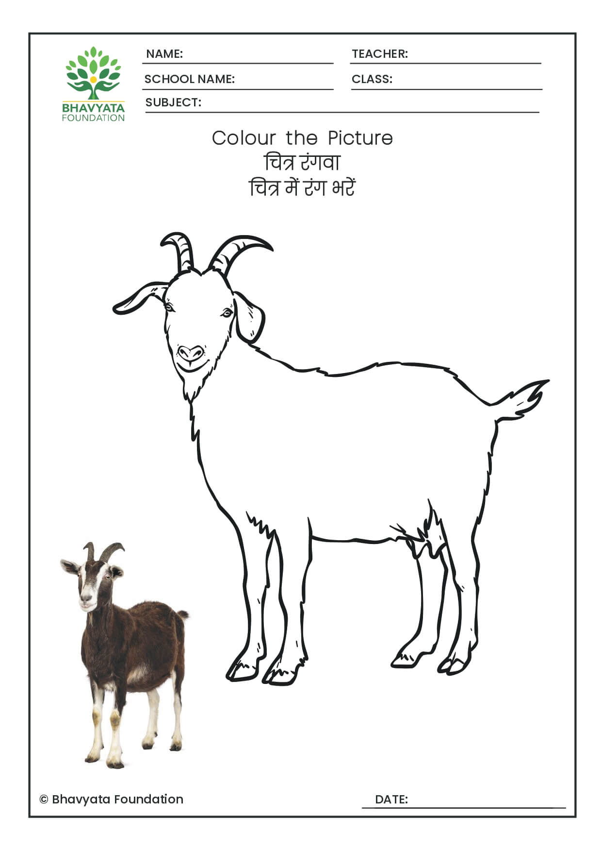 A1M3W1D5-World Around Us(Domestic Animal Color Worksheet) – Bhavyata ...