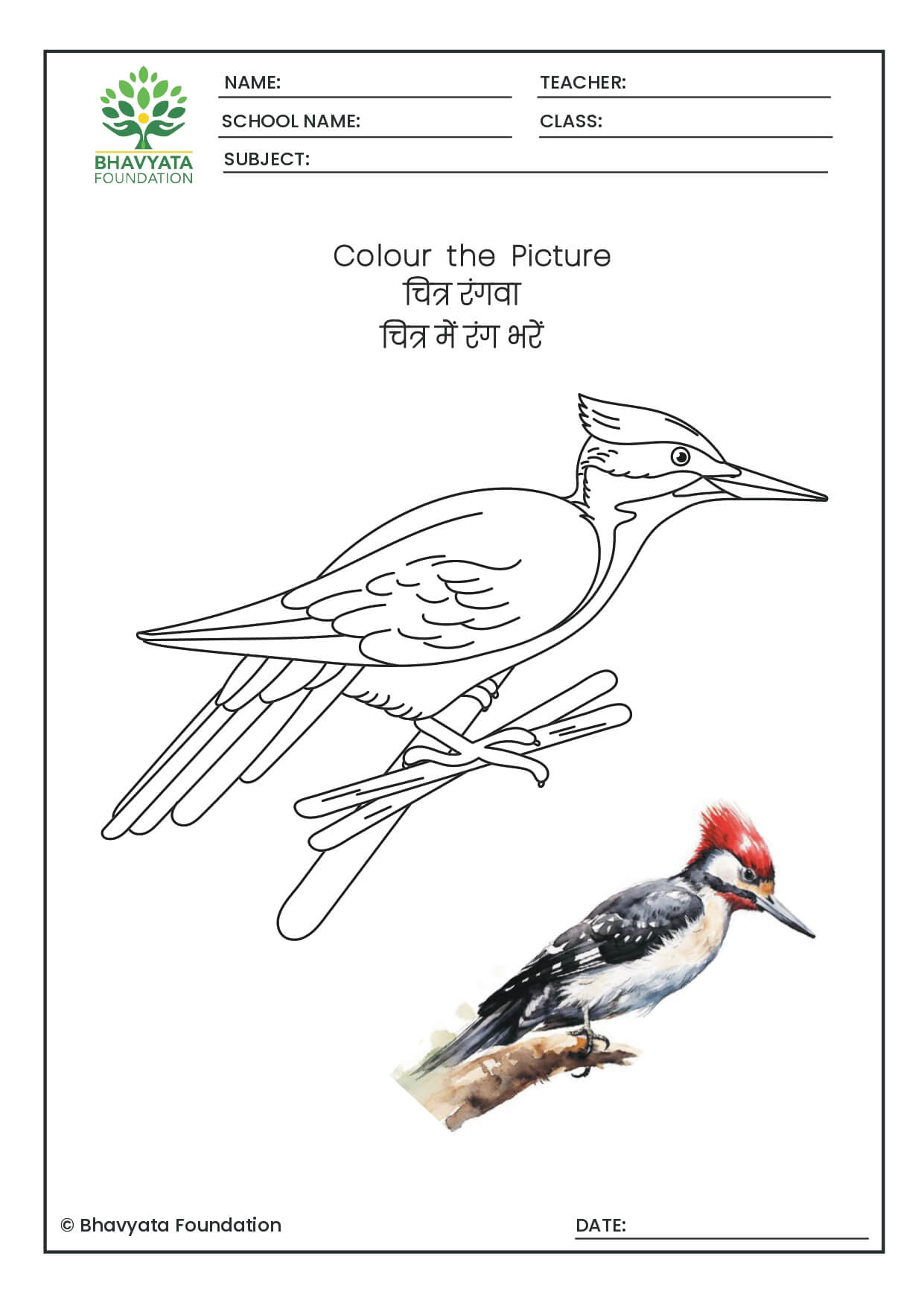 A1M7W3D4-World Around Us (Birds Worksheet) – Bhavyata Foundation