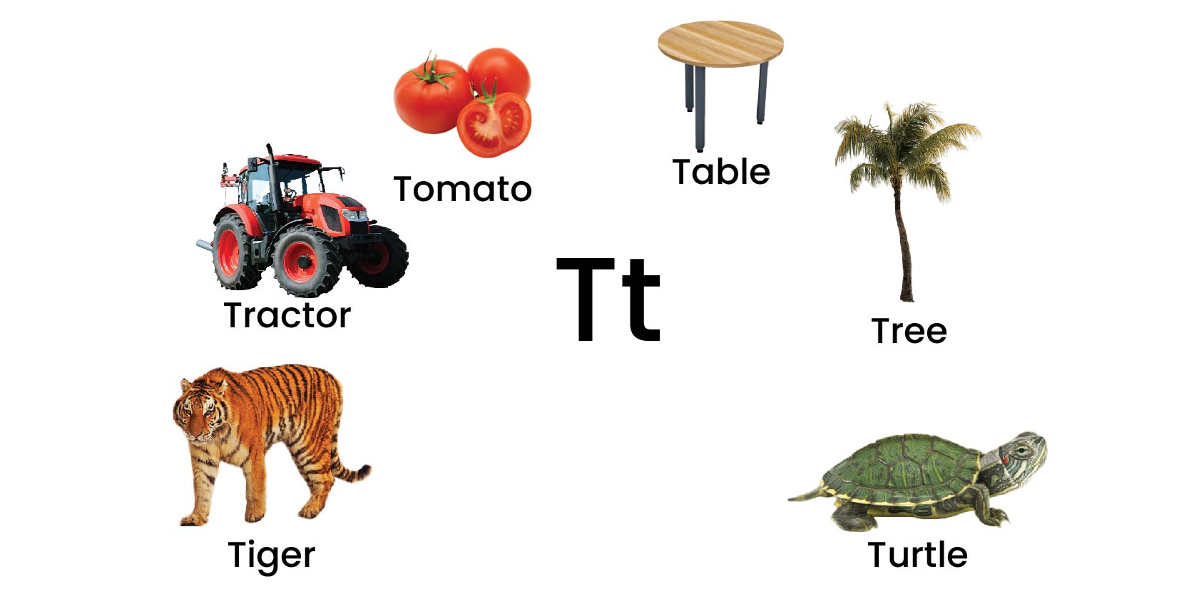 A1M7W2D5-Phonics(Beginning T Sound) – Bhavyata Foundation